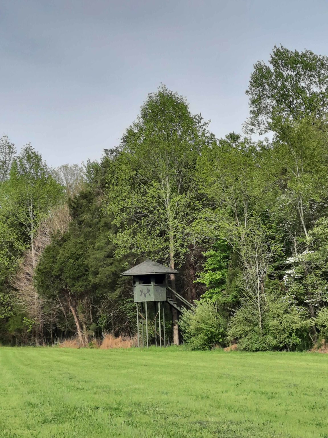 Illinois Whitetail Deer Hunts | Trophy Deer Hunts in Illinois