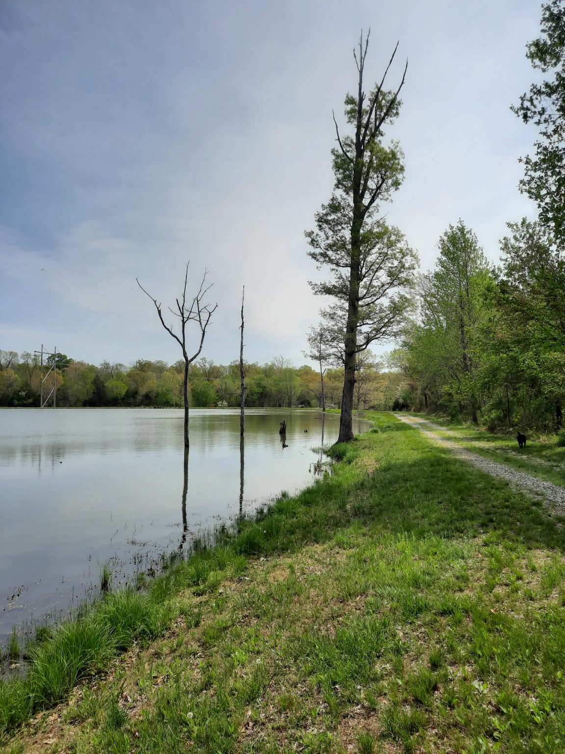 Lodging Samson's Ridge | Trophy Whitetail Deer Hunting