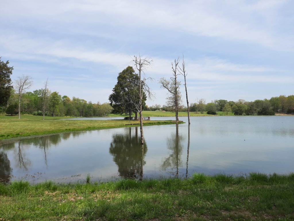 Lodging Samson's Ridge | Trophy Whitetail Deer Hunting